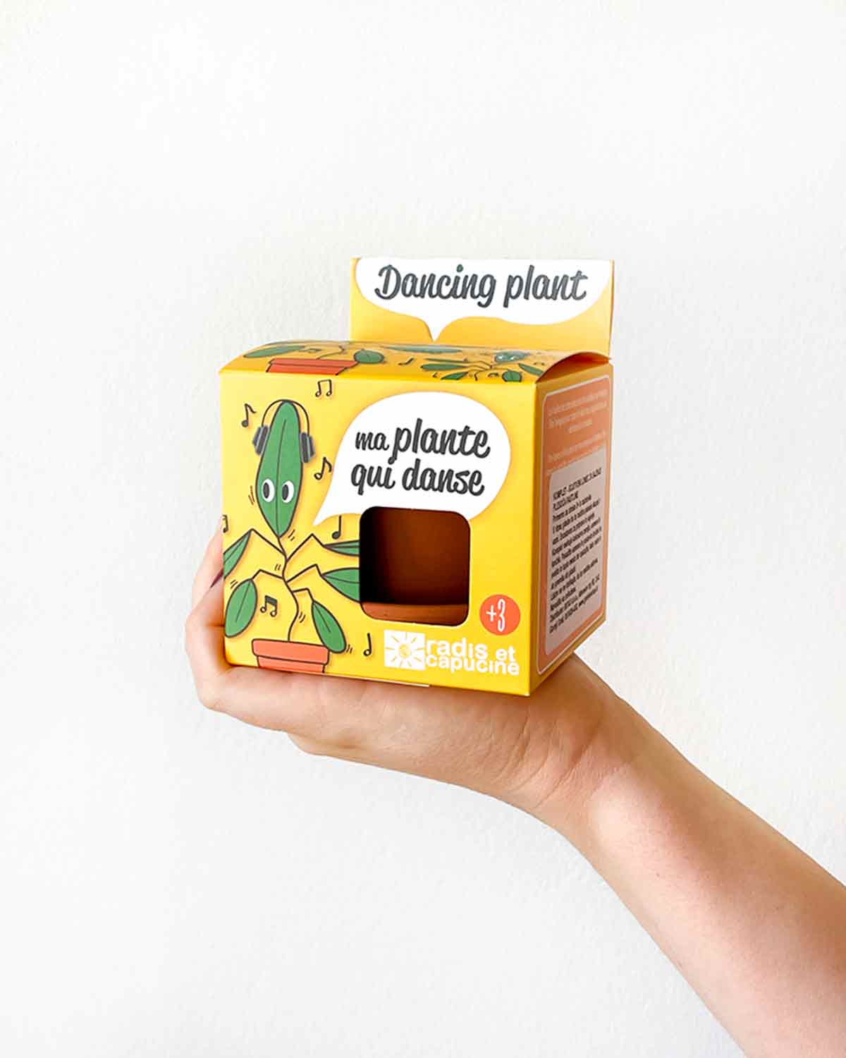 Set per la coltivazione della pianta danzante (dancing plant) - Giungla ...